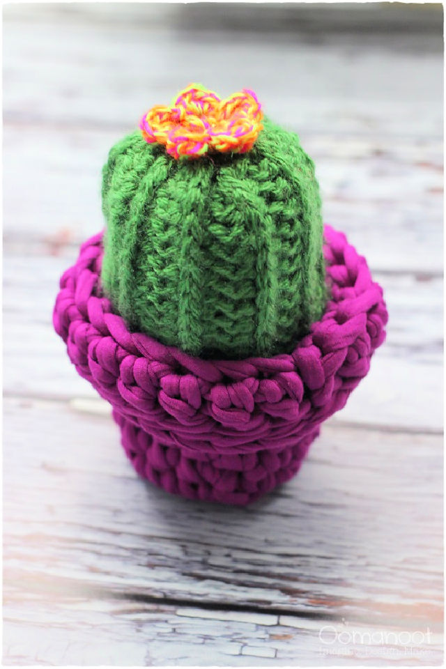 25 Free Crochet Cactus Patterns (Amigurumi Pattern)