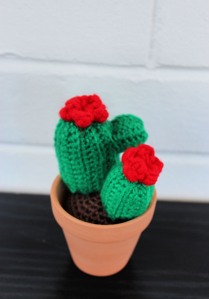 25 Free Crochet Cactus Patterns (Amigurumi Pattern)