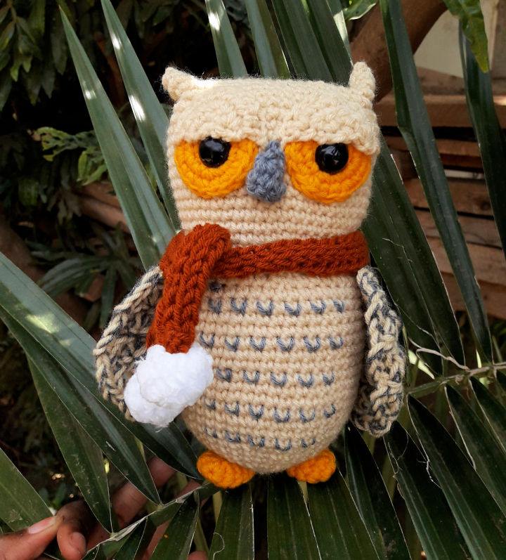 25 Free Crochet Owl Patterns (Amigurumi Pattern)