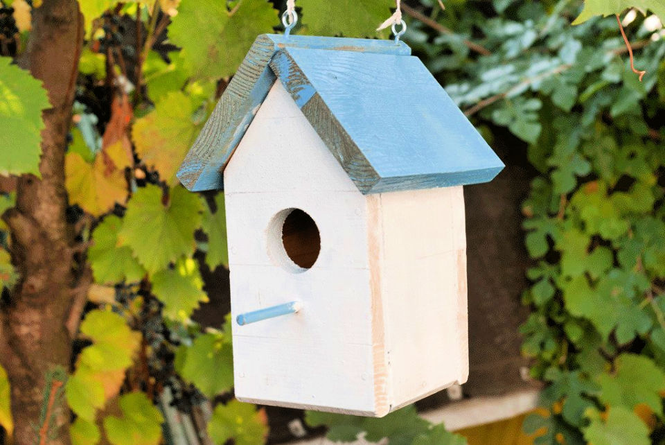 20 Free DIY Birdhouse Plans and Ideas