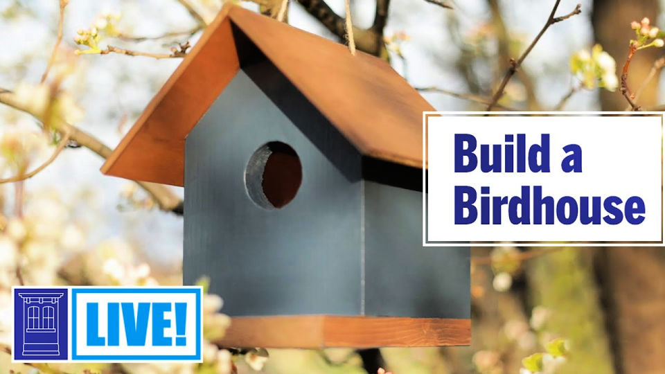 20 Free DIY Birdhouse Plans and Ideas