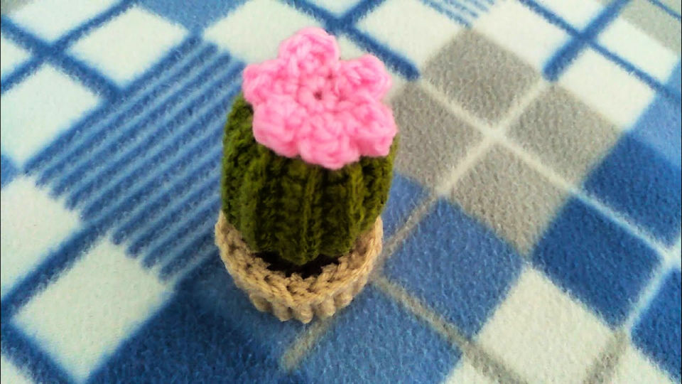 25 Free Crochet Cactus Patterns (Amigurumi Pattern)