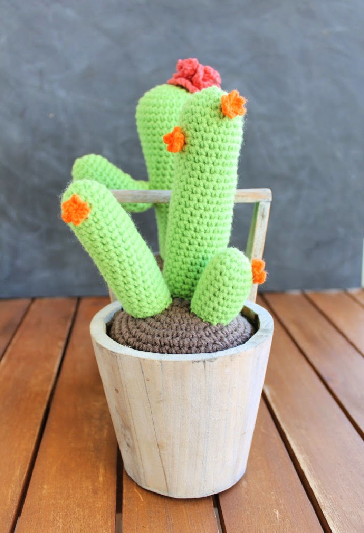 25 Free Crochet Cactus Patterns (Amigurumi Pattern)