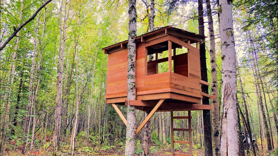 25 Free DIY Tree House Plans and Ideas