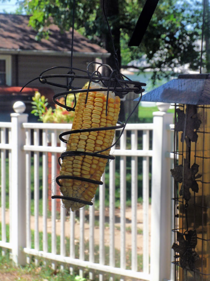 25 Free Homemade DIY Squirrel Feeder Plans