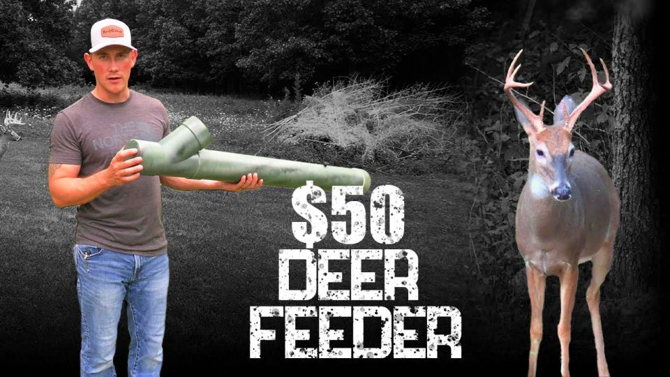 25 Homemade DIY Deer Feeder Ideas and Plans