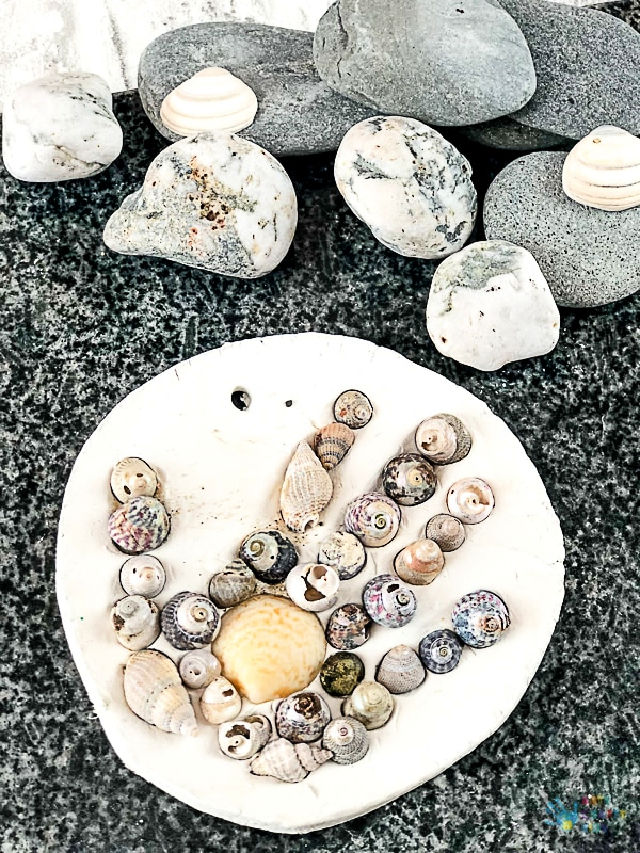 25 Seashell Crafts and Ideas: What to Do with Seashells