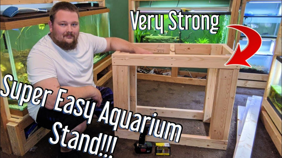 20 DIY Aquarium Stand Plans: Build Your Fish Tank Stand