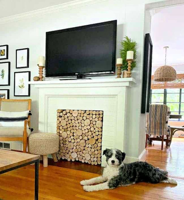 20 DIY Fireplace Screen Ideas: How To Make a Fireplace Cover