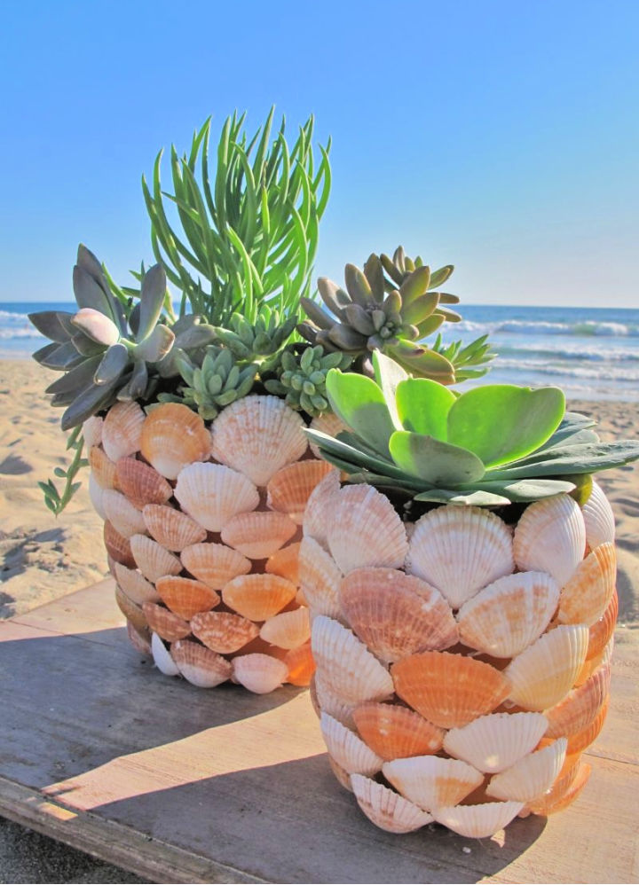 25 Seashell Crafts and Ideas: What to Do with Seashells