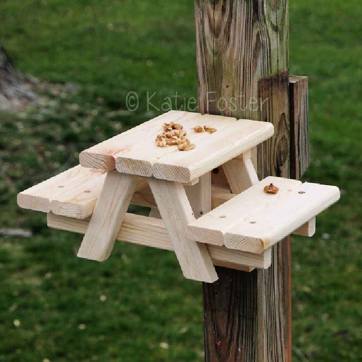 25 Free Homemade DIY Squirrel Feeder Plans