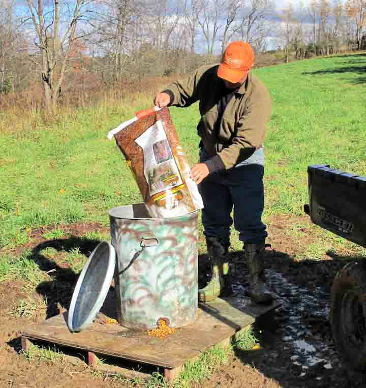 25 Homemade DIY Deer Feeder Ideas and Plans