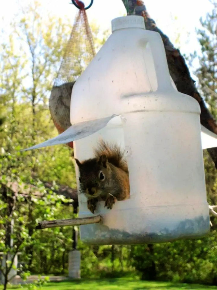 25 Free Homemade Diy Squirrel Feeder Plans