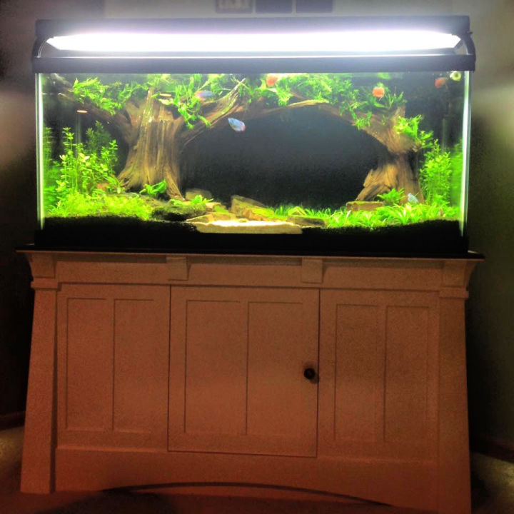 20 DIY Aquarium Stand Plans: Build Your Fish Tank Stand
