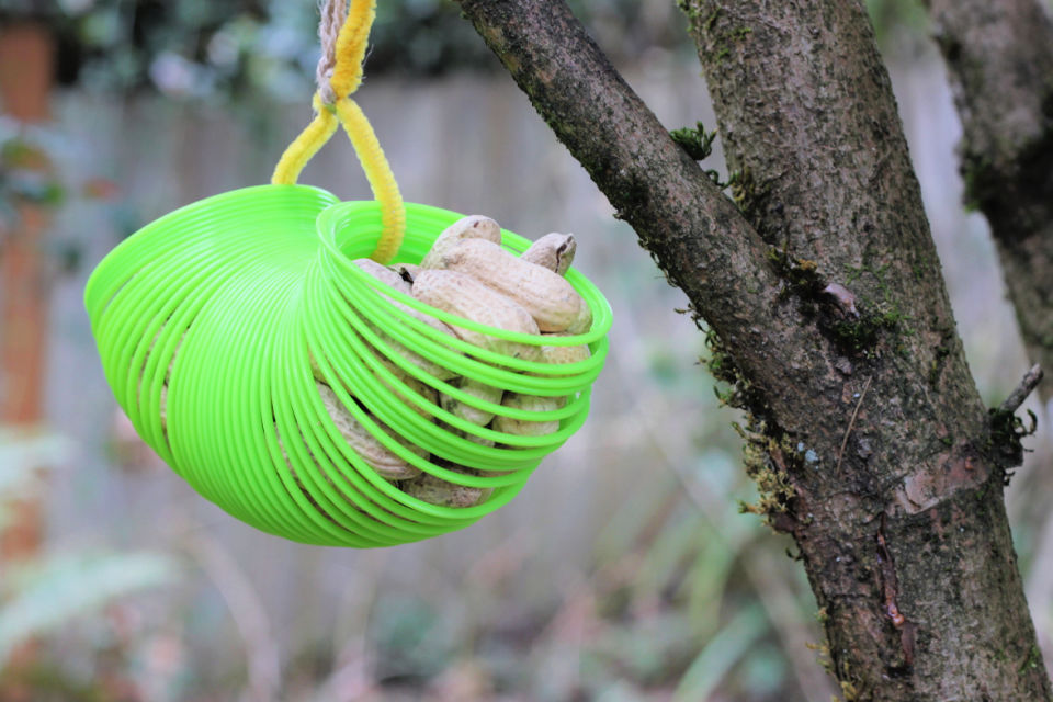 25 Free Homemade DIY Squirrel Feeder Plans