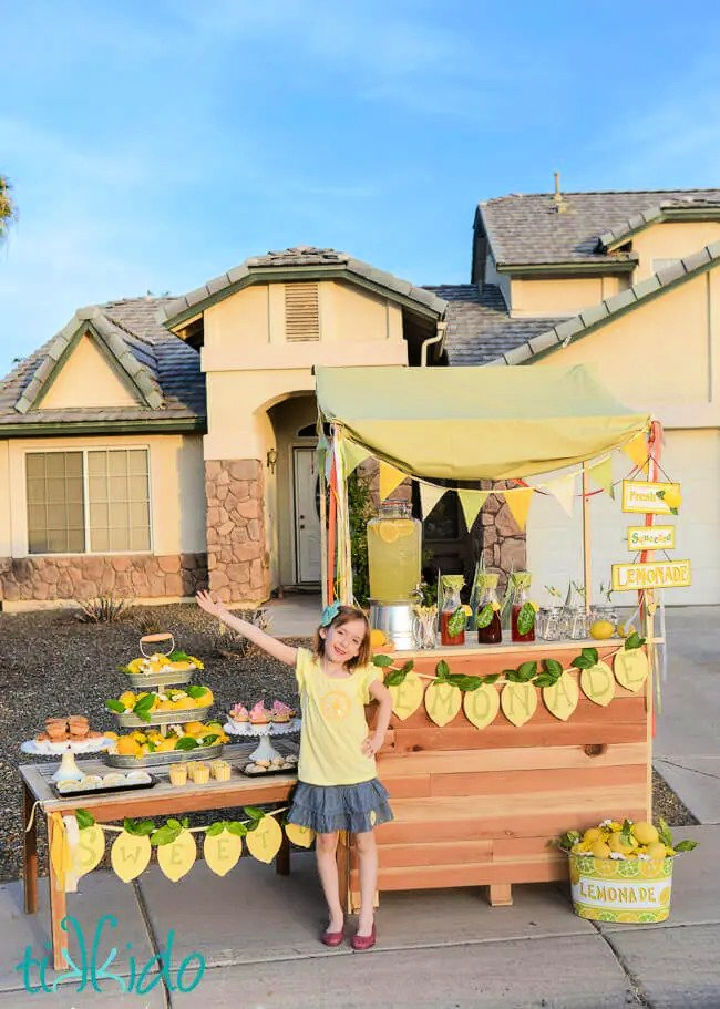 35 Homemade DIY Lemonade Stand Ideas You Can Build