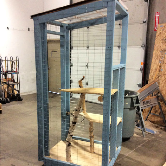 20 Free DIY Catio Plans: Build Your Outdoor Cat Enclosure