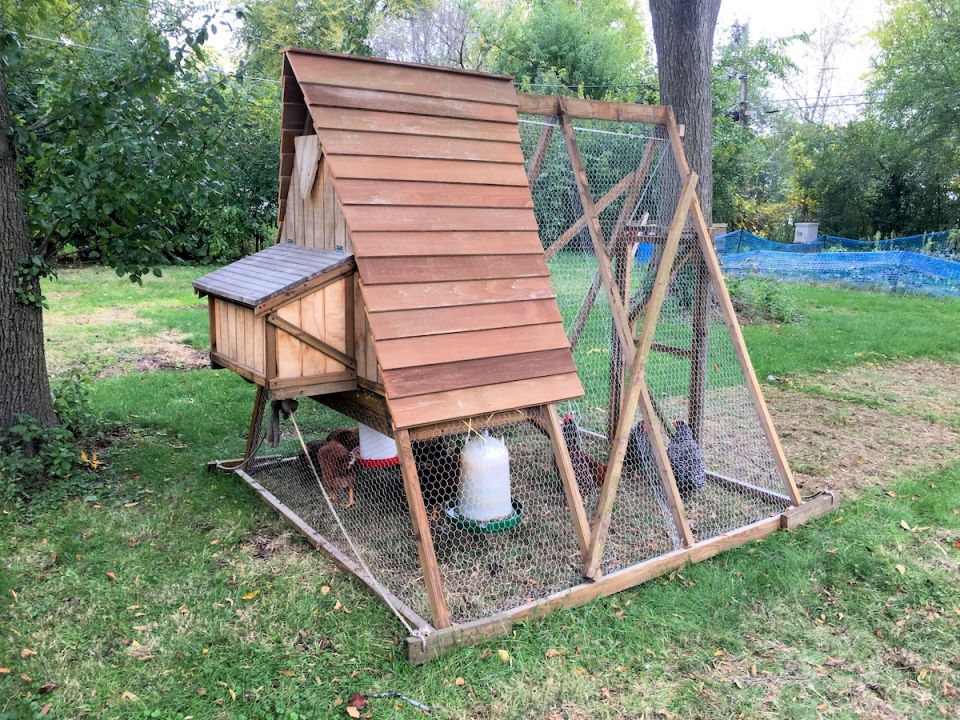 25 Free DIY Chicken Tractor Plans and Ideas to Build
