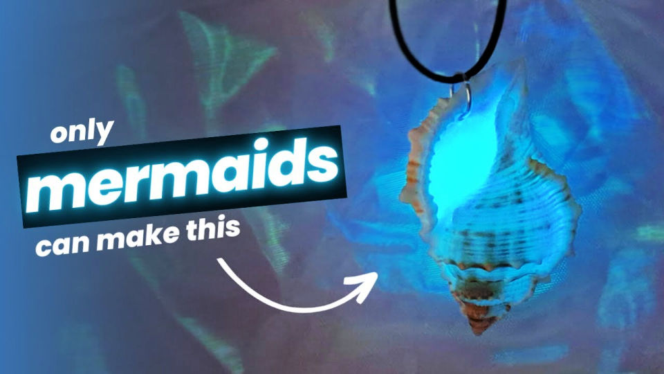 25 DIY Seashell Necklace Ideas To Make Your Own