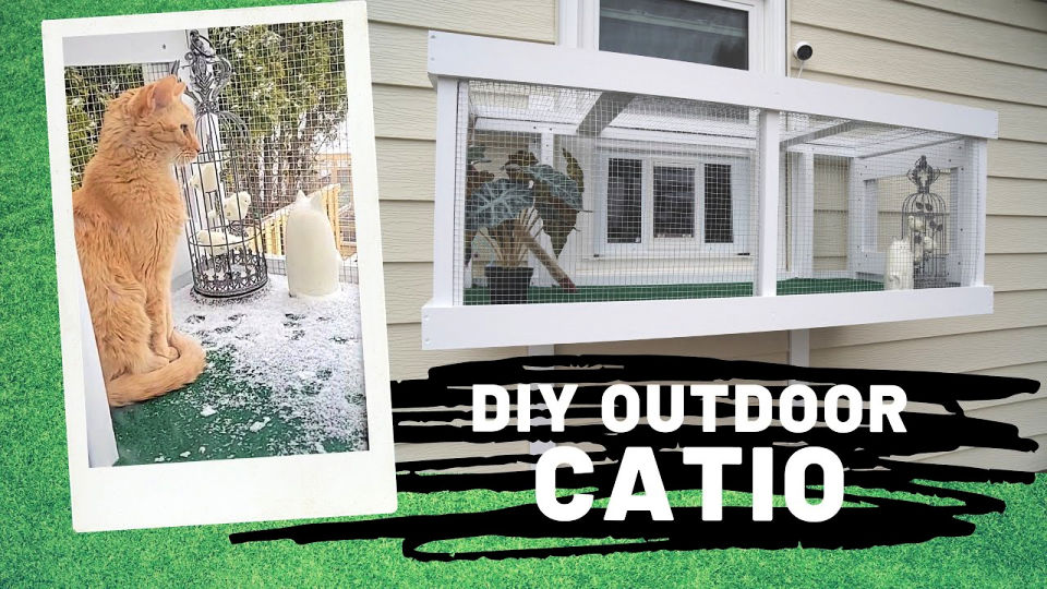 20 Free DIY Catio Plans: Build Your Outdoor Cat Enclosure