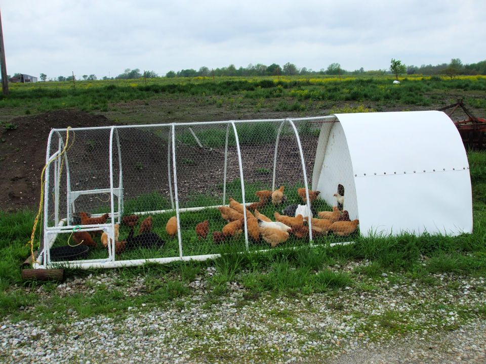 25 Free DIY Chicken Tractor Plans and Ideas to Build