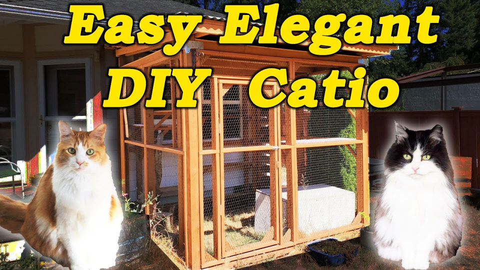 20 Free DIY Catio Plans: Build Your Outdoor Cat Enclosure