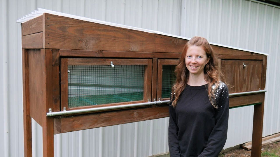 20 Homemade DIY Quail Cage Plans and Ideas