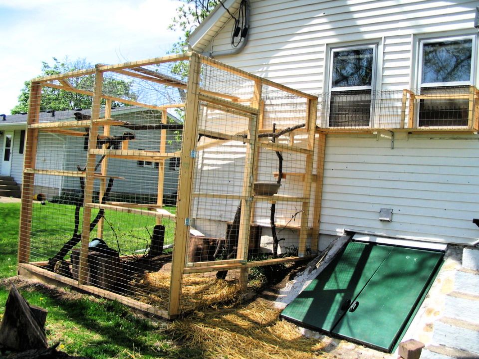 20 Free DIY Catio Plans: Build Your Outdoor Cat Enclosure