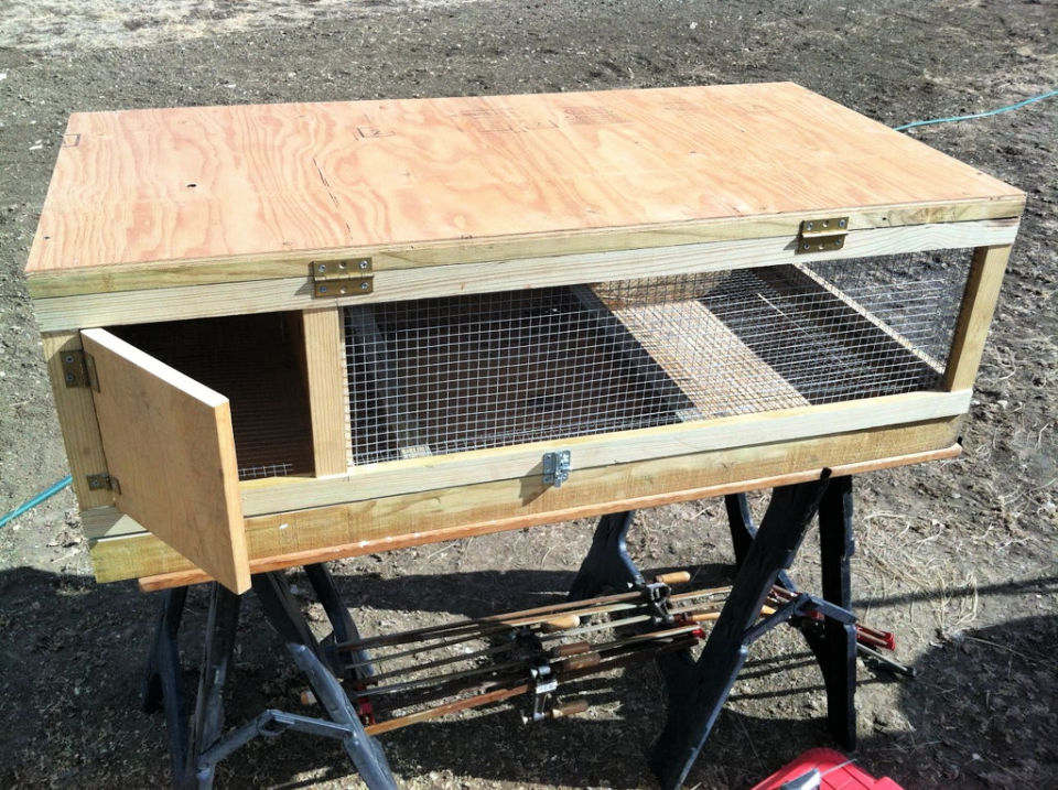 20 Homemade DIY Quail Cage Plans and Ideas