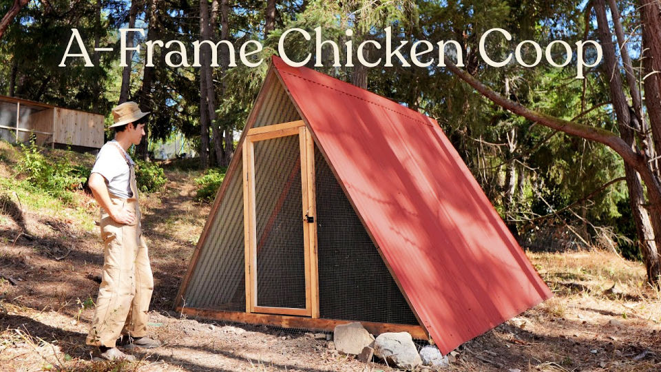15 Free DIY A Frame Chicken Coop Plans