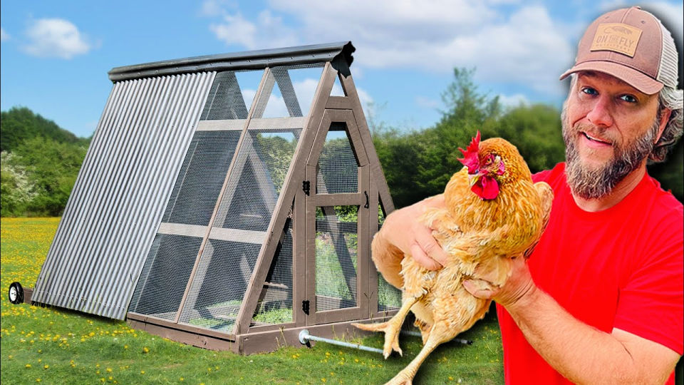 15 Free DIY A Frame Chicken Coop Plans