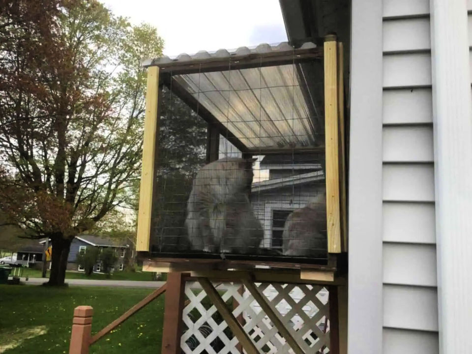 20 Free DIY Catio Plans: Build Your Outdoor Cat Enclosure