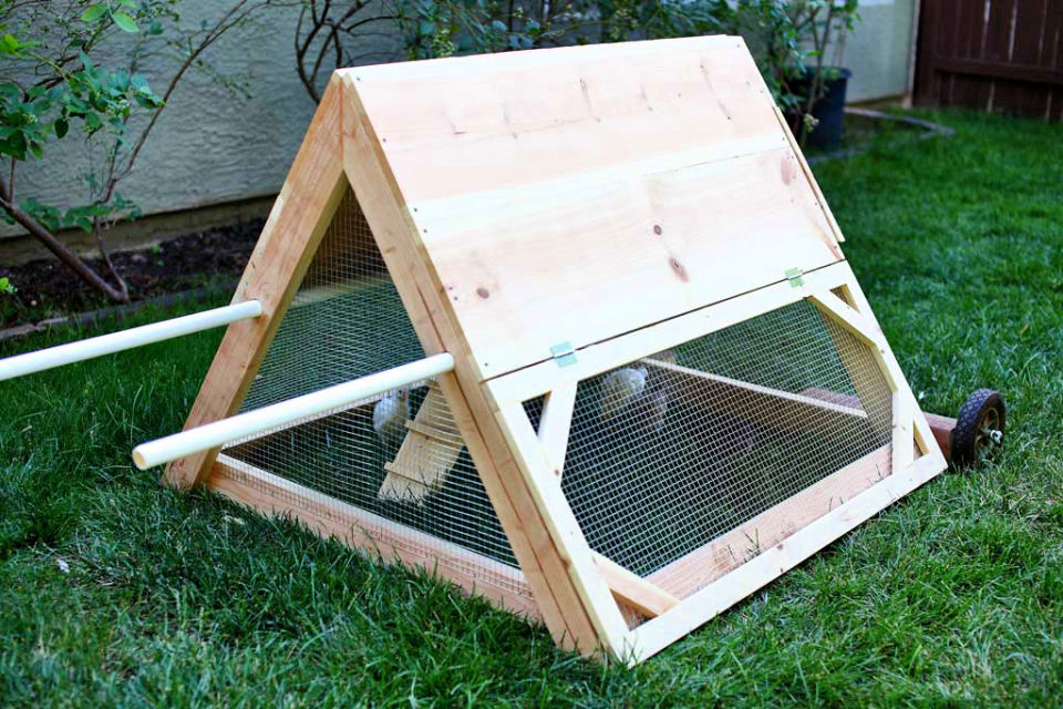 15 Free DIY A Frame Chicken Coop Plans