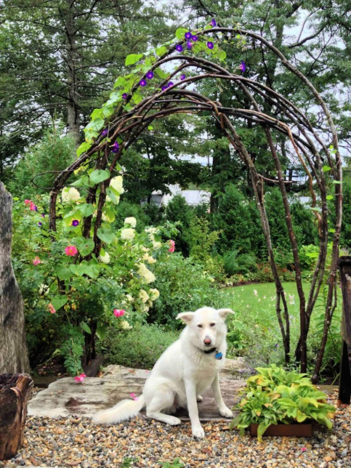 15 DIY Rose Trellis Ideas: Build a Climbing Rose Support