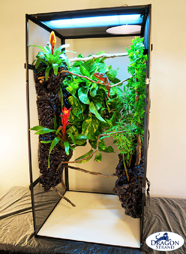 16 Homemade DIY Chameleon Cage Ideas