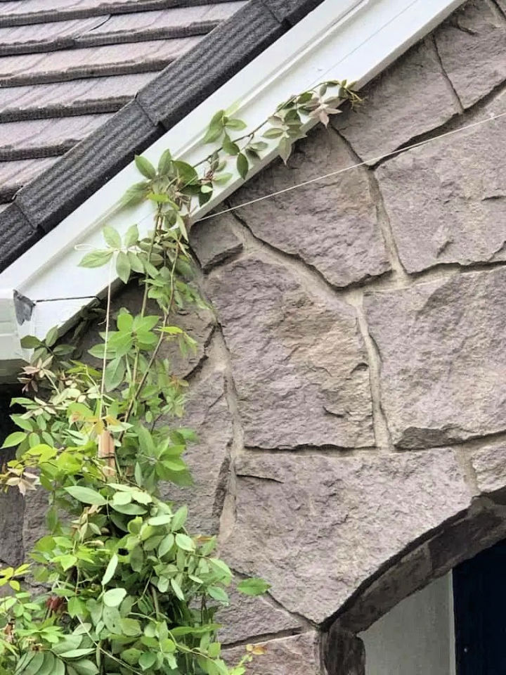 15 DIY Rose Trellis Ideas: Build a Climbing Rose Support