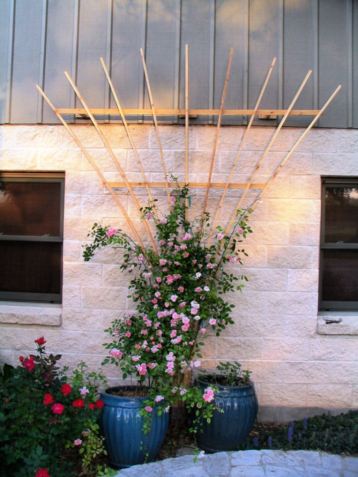 15 DIY Rose Trellis Ideas: Build a Climbing Rose Support