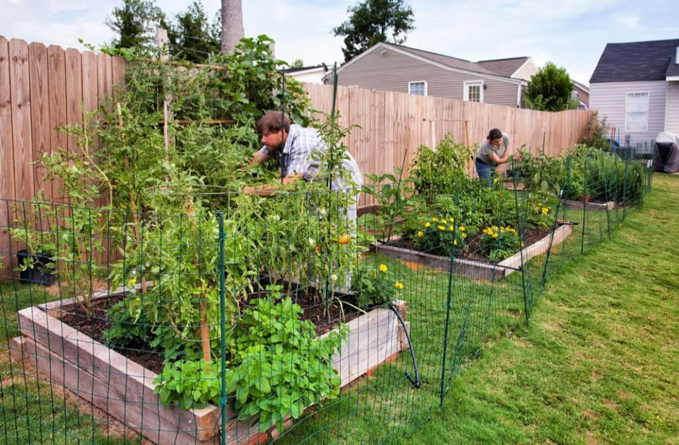 25 Easy DIY Vegetable Garden Ideas to Build