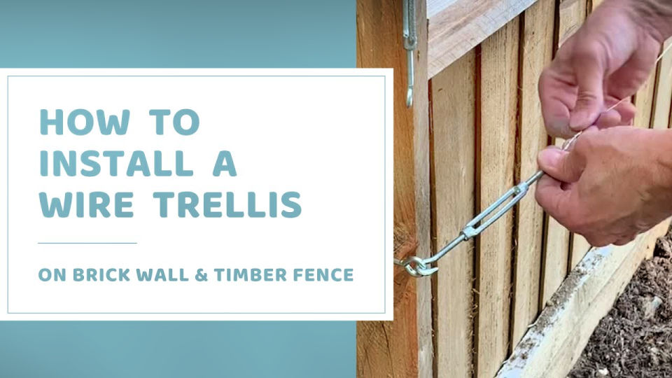 15 DIY Rose Trellis Ideas: Build a Climbing Rose Support