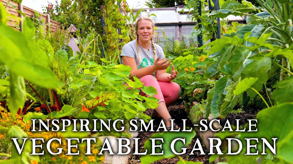 25 Easy DIY Vegetable Garden Ideas to Build