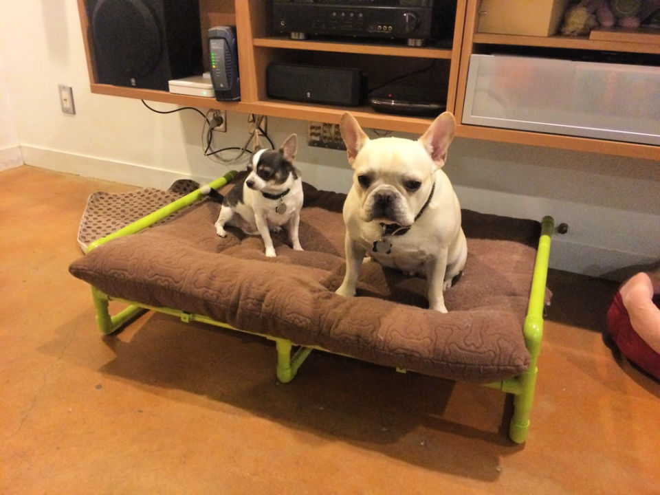 15 Free DIY Raised Dog Bed Plans