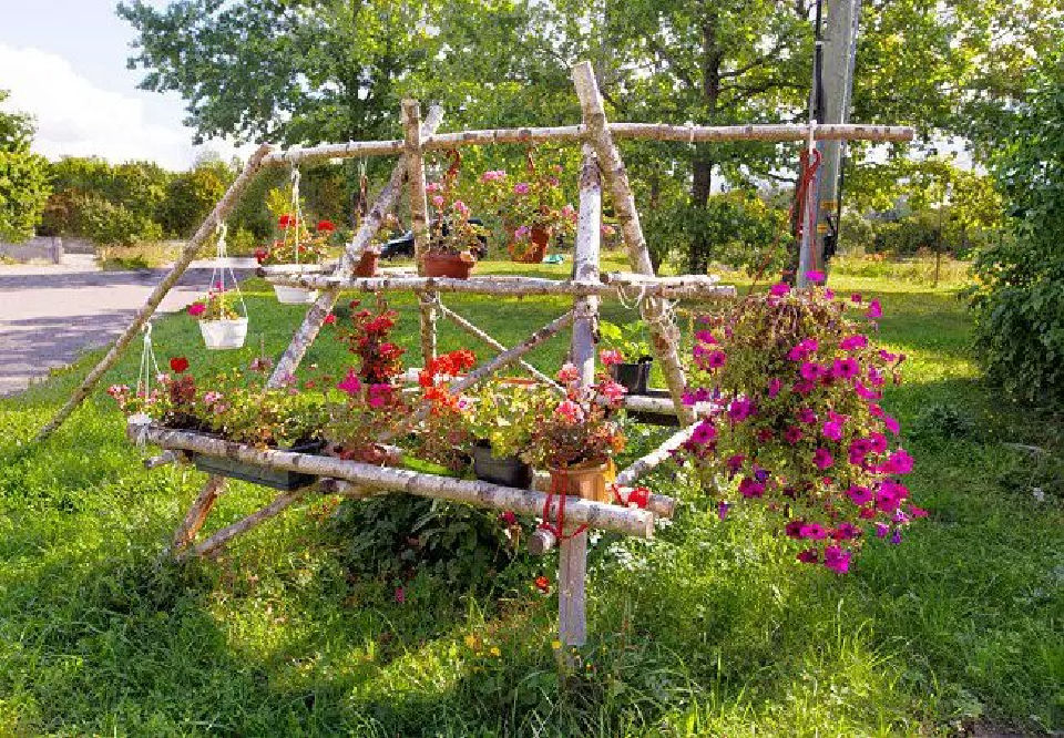 15 DIY Rose Trellis Ideas: Build a Climbing Rose Support