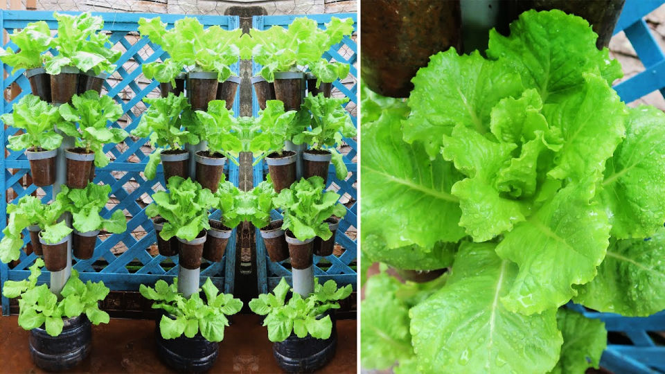 25 Easy DIY Vegetable Garden Ideas to Build