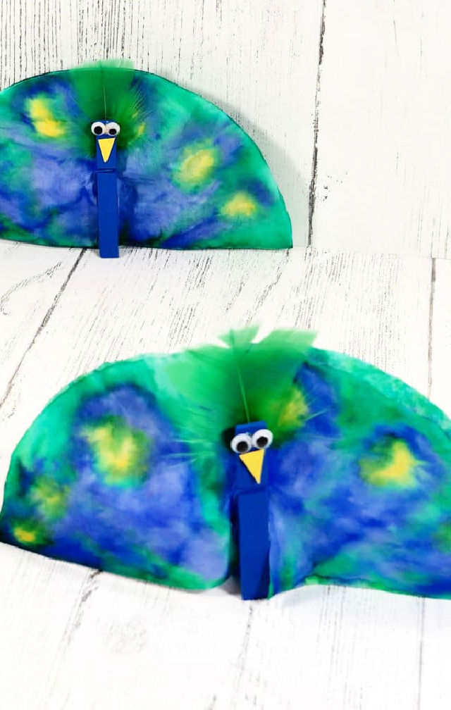 25 Easy Bird Crafts for Kids: Bird Art and Craft Ideas