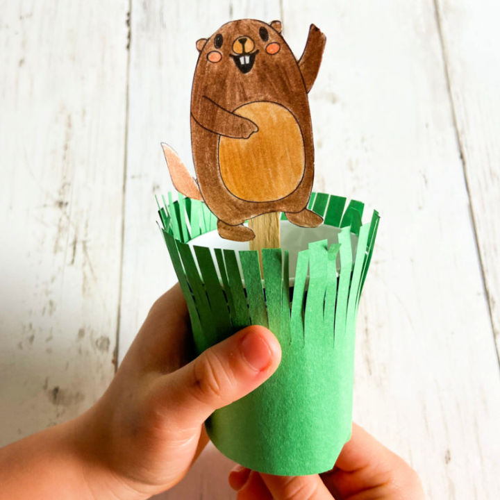 25 Groundhog Day Crafts for Kids (Preschoolers)