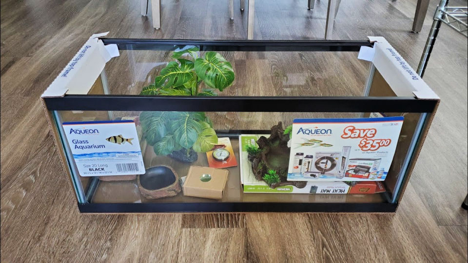 17 DIY Hermit Crab Tank Ideas: Learn How To Make