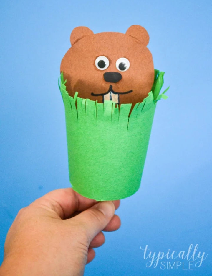 25 Groundhog Day Crafts for Kids (Preschoolers)