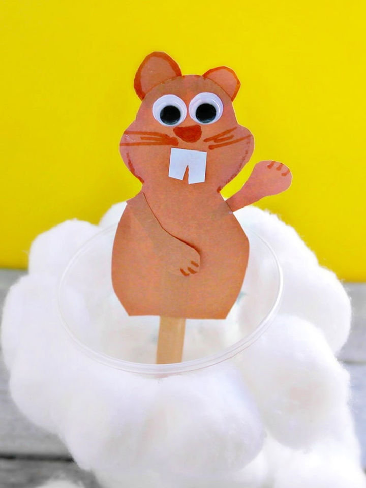 25 Groundhog Day Crafts for Kids (Preschoolers)
