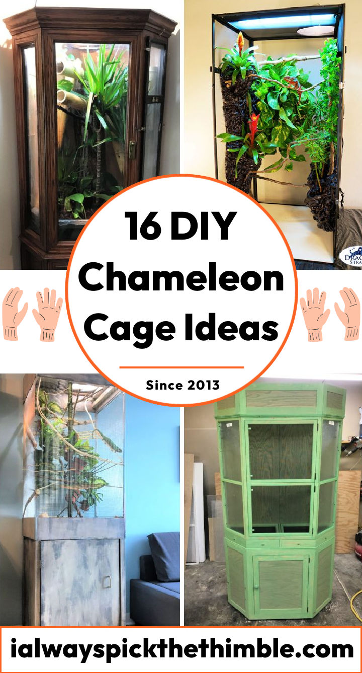 16 Homemade DIY Chameleon Cage Ideas