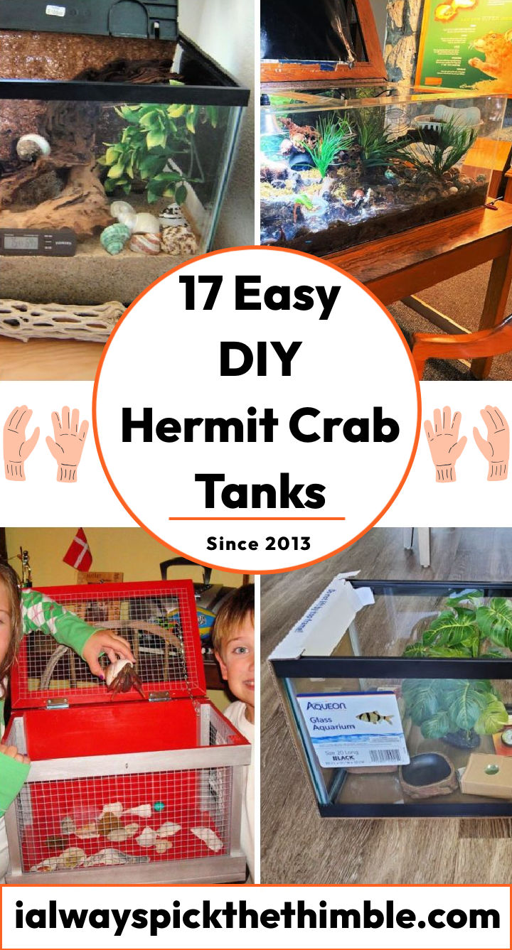 Best Lid For Hermit Crab Tank at Paul Maxwell blog